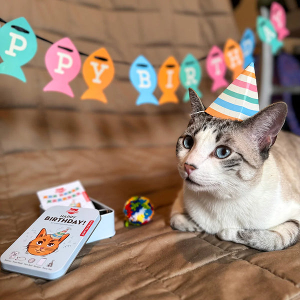 KIKO Cat Happy Birthday Kit - The Shops at the Denver Art Museum