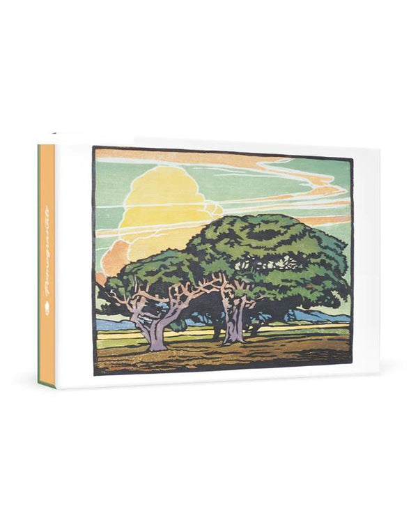 William S Rice: Del Monte Oaks Small Boxed Cards - The Shops at the ...