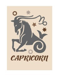 Zodiac Velcro Label - CAPRICORN - The Shops at the Denver Art Museum