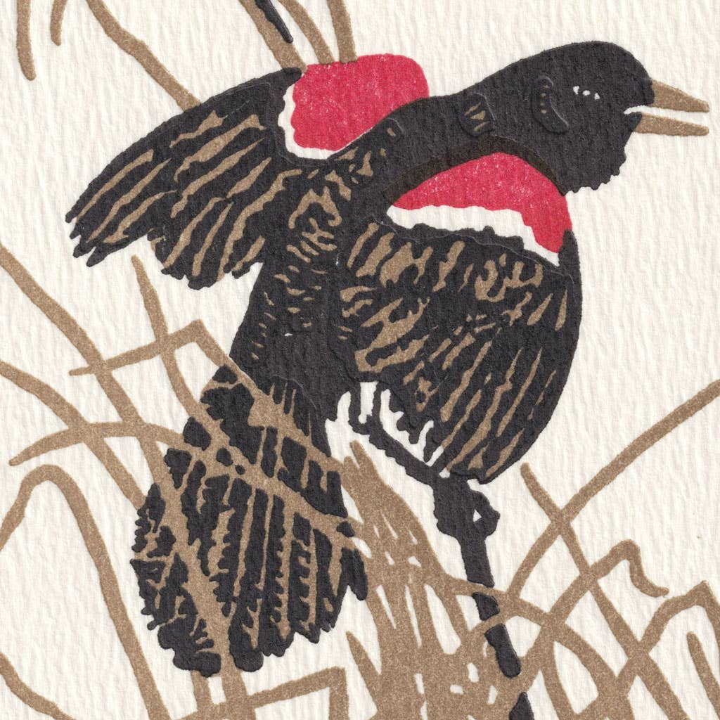 Red Wing Blackbird Individual Card - The Shops at the Denver Art Museum